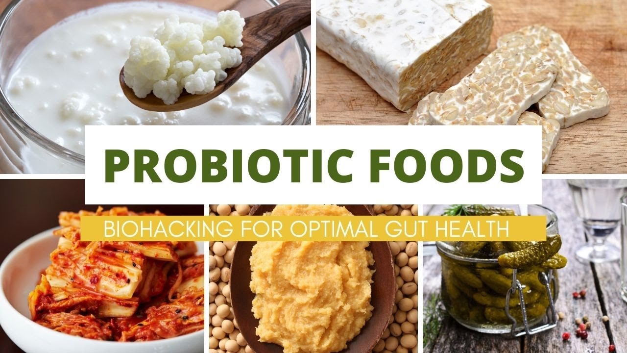 Biohacking Probiotic Foods for Optimal Gut Health - YouTube
