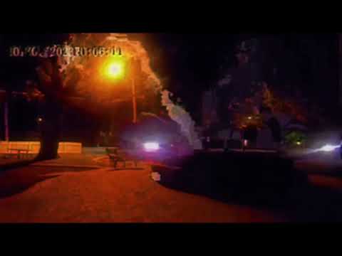 Let My Mind Run Free .mp3 