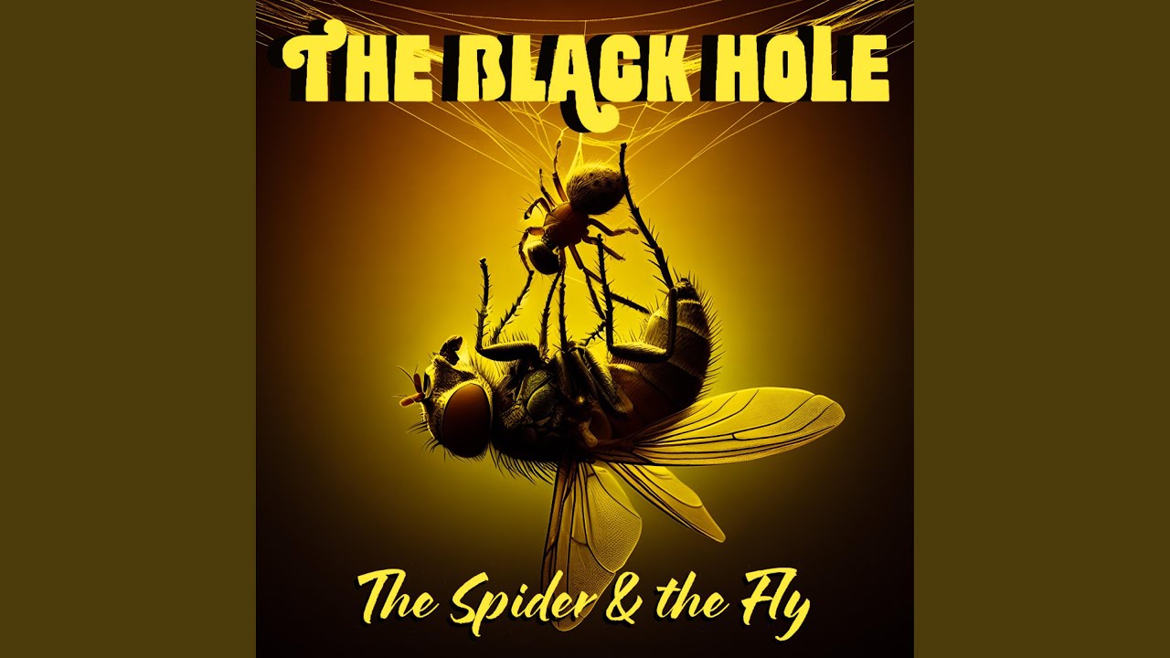 The Spider & the Fly - YouTube