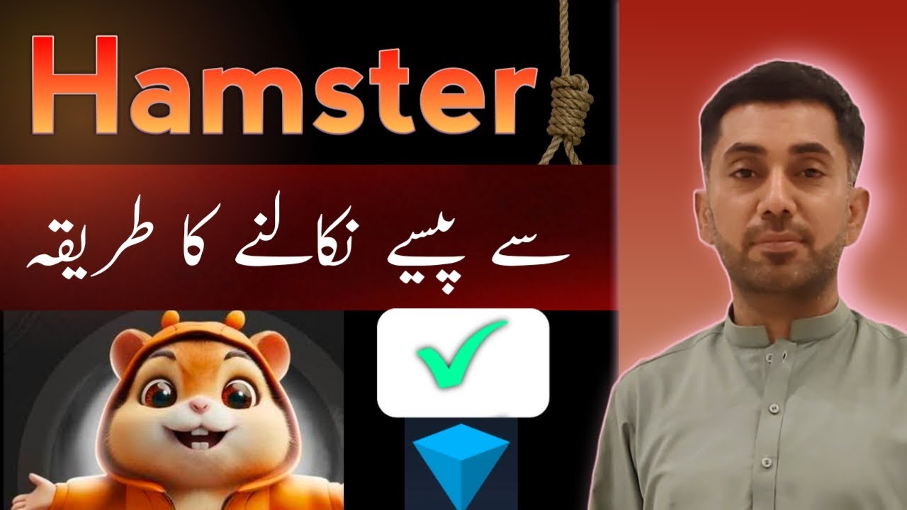 Hasmster Combat || How to Withdraw Funds || Tonkeeper Wallet Full Guide ...