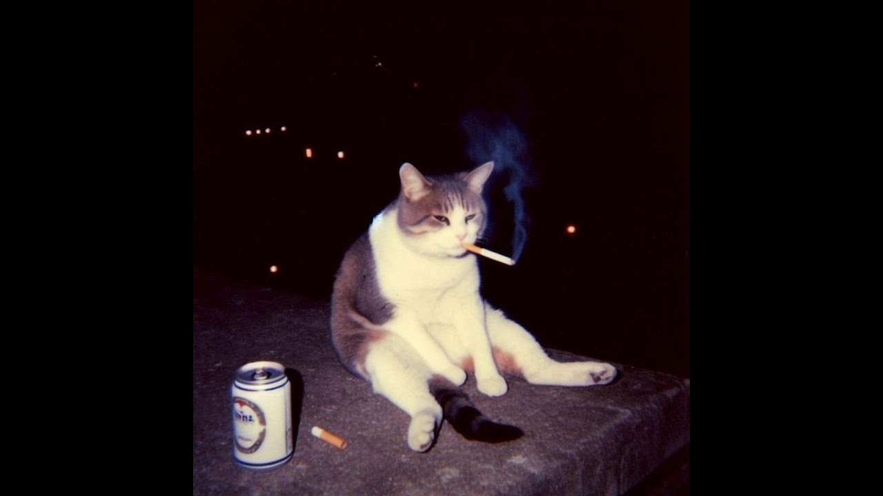 Te Siento - R&B Trap Drake Type Beat Instrumental 2026 | R&B Type Beat ...