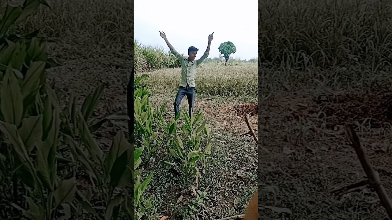 bhojpuri short dance - YouTube