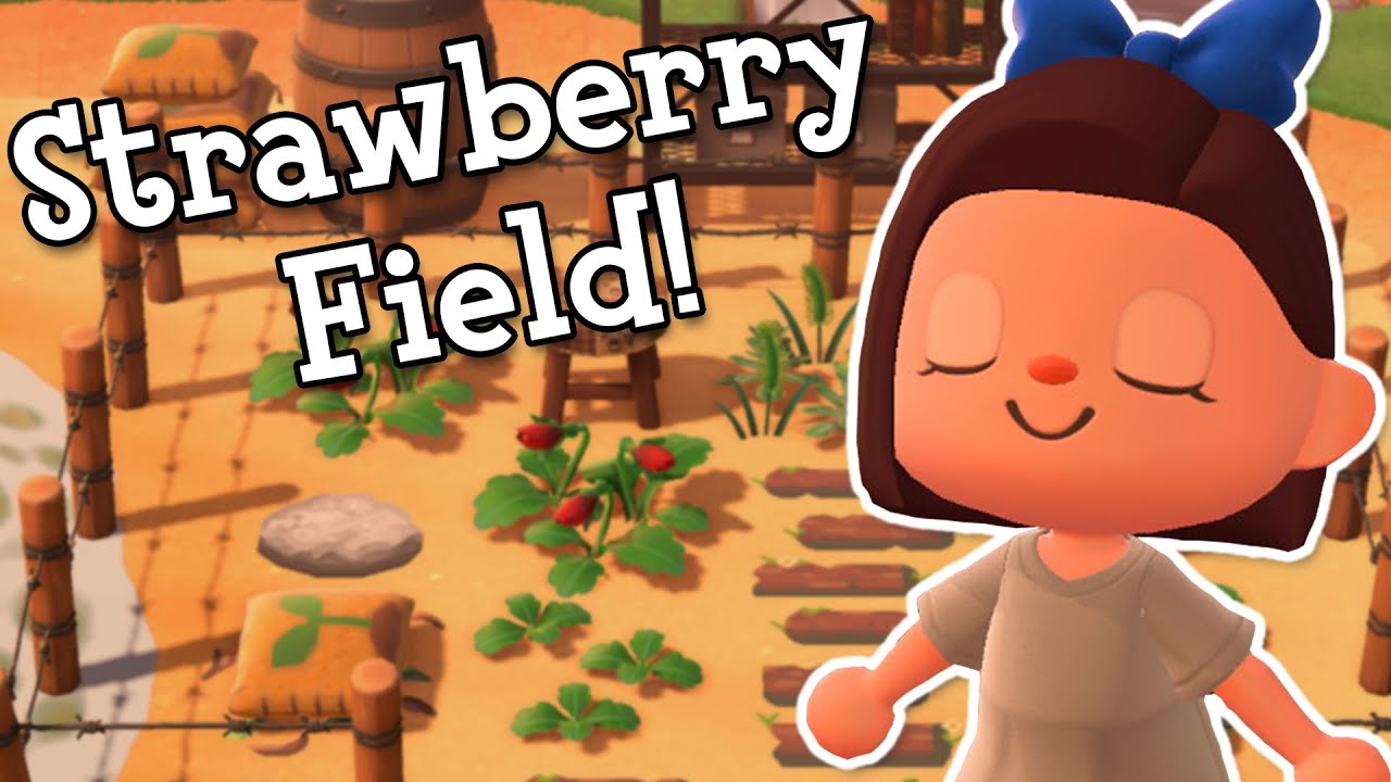 Cottage Core Strawberry Farm Build! | Animal Crossing New Horizons ...