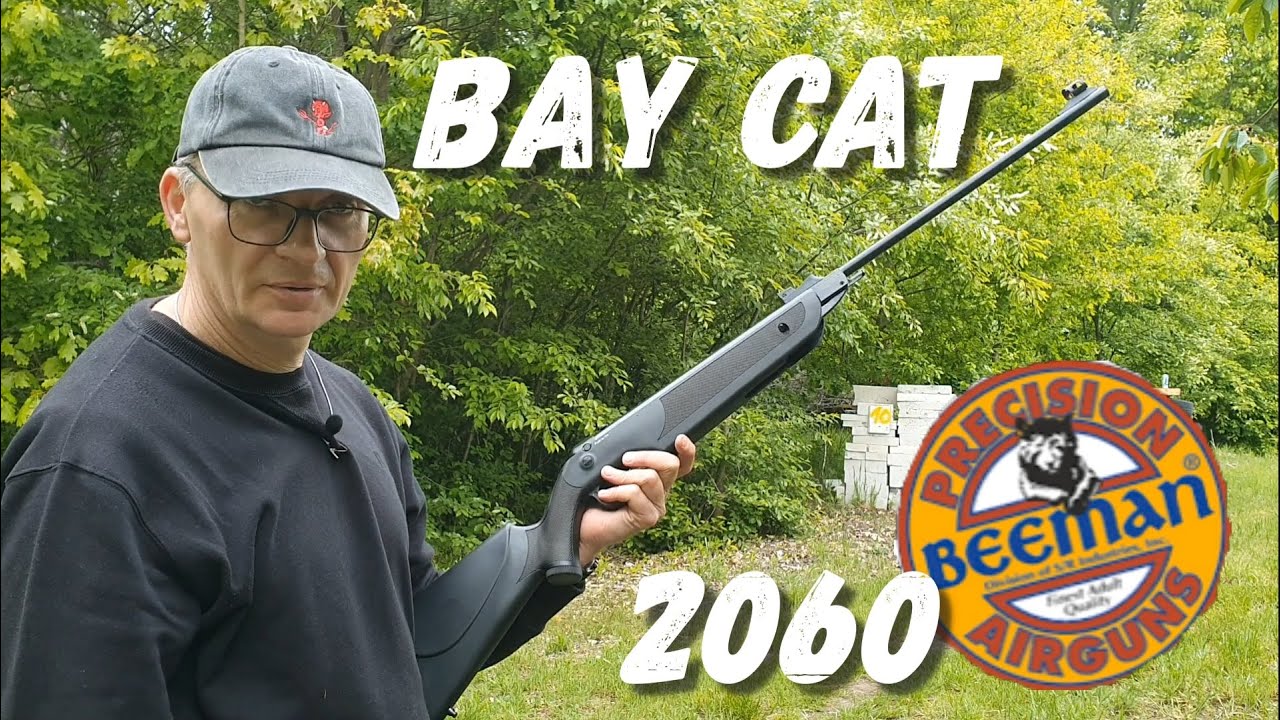 bartoli358 & Beeman 2060 BayCat 4.5mm - YouTube