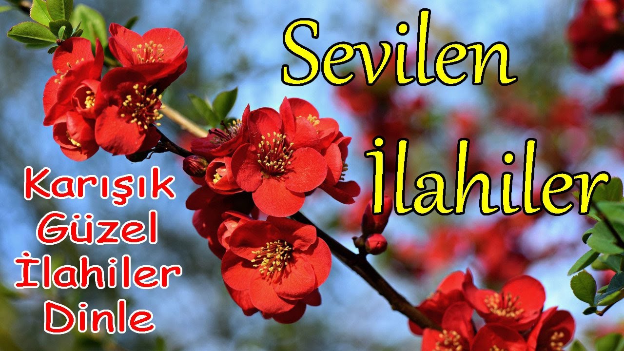 🌹EN ÇOK DİNLENEN SEÇME İLAHİLER - Dünyanın En Güzel İlahileri🌹Karışık ...