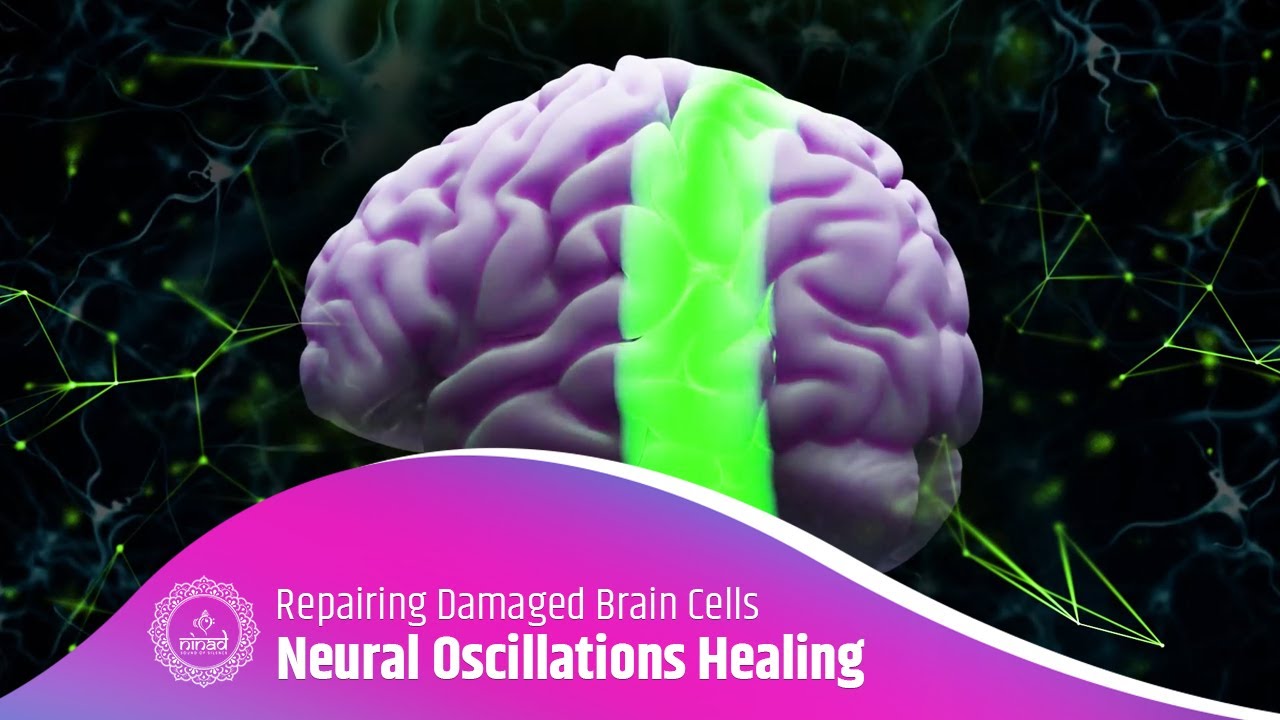 Neural Oscillations Sound Healing: Repairing Damaged Brain Cells ...