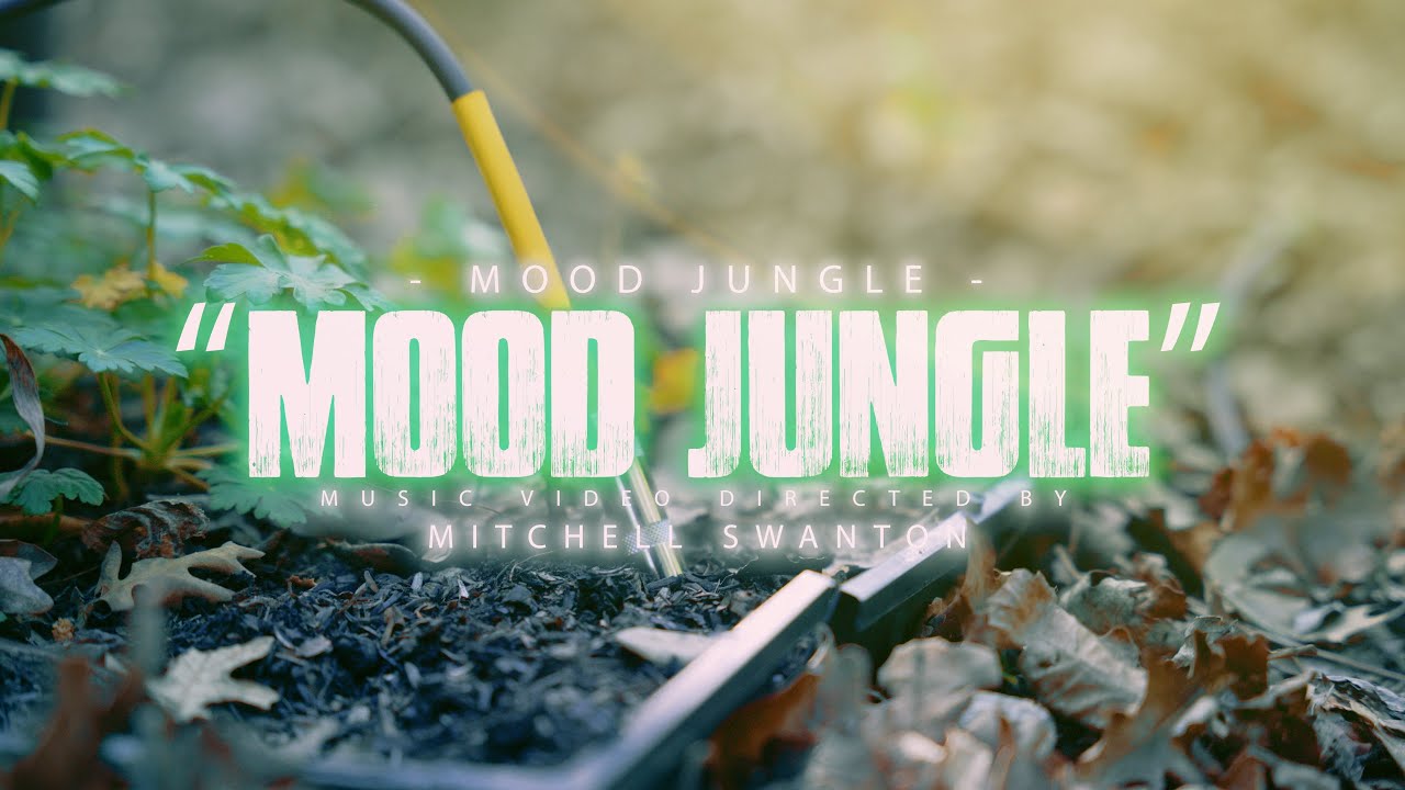 Mood Jungle self-titled single "Mood Jungle" Official Music Video - YouTube