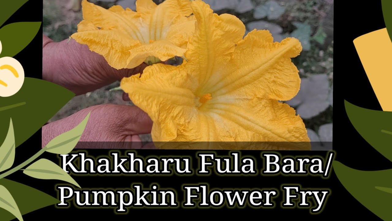 Khakharu Fula Bara/Pumpkin Flower Fry/Khakharu Fula Bhaja/Khakharu Fula ...