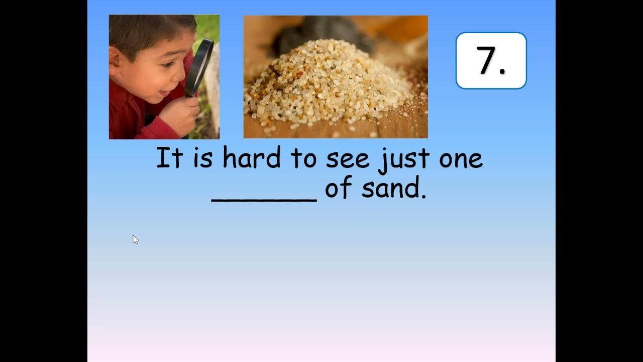 Second Grade Journeys' Lesson 25 VOCABULARY REVIEW SENTENCES for the ...