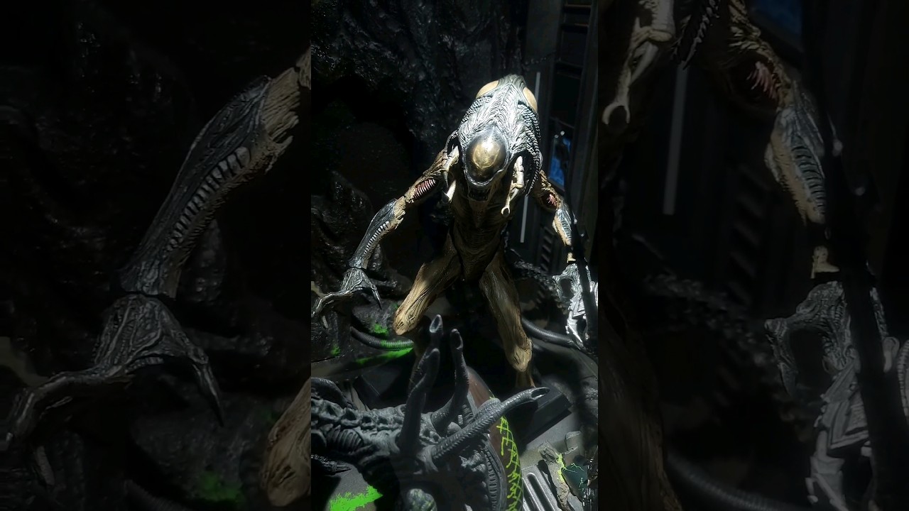 Alien Vs Predator Model #alien #toys #model #hobby - YouTube