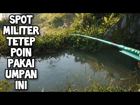 UMPAN IKAN WADER YANG AMPUH SEGALA KONDISI SAYA BUKTIKAN SENDIRI - MANCING KUTOARJO