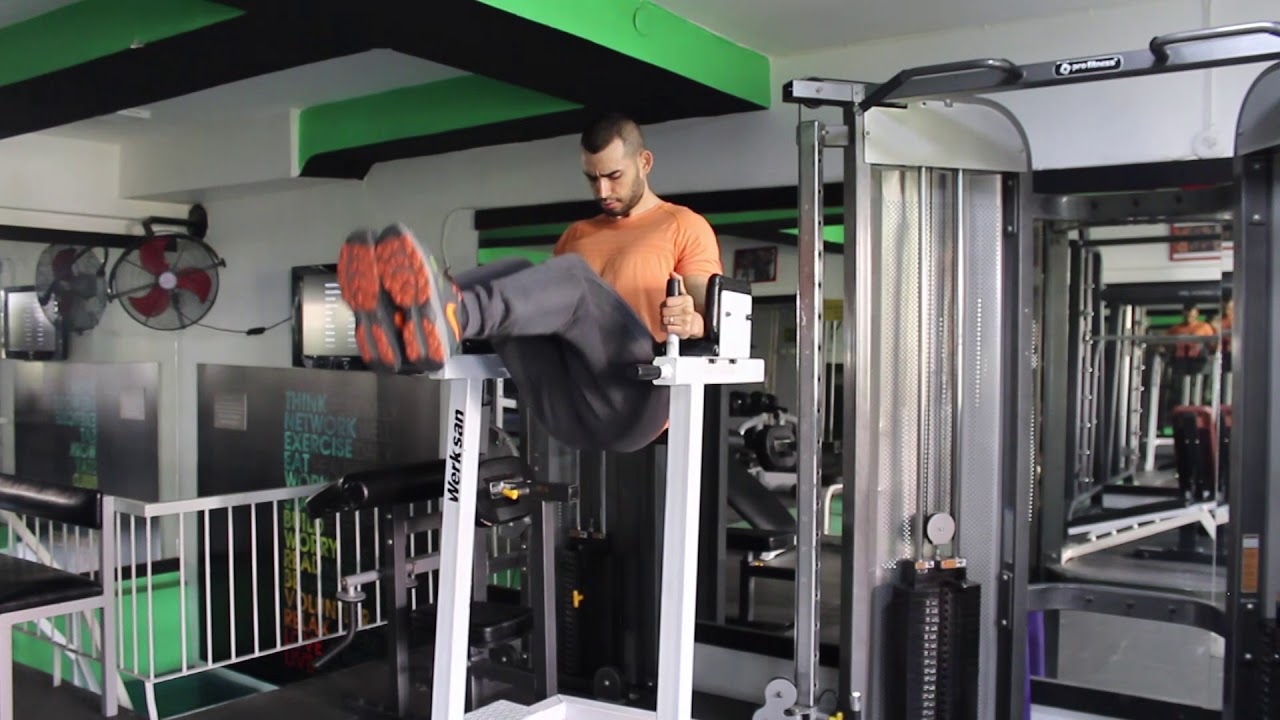 EQUIPMENT-NO COMBINED 556 Parallel Bar Leg Raise - YouTube