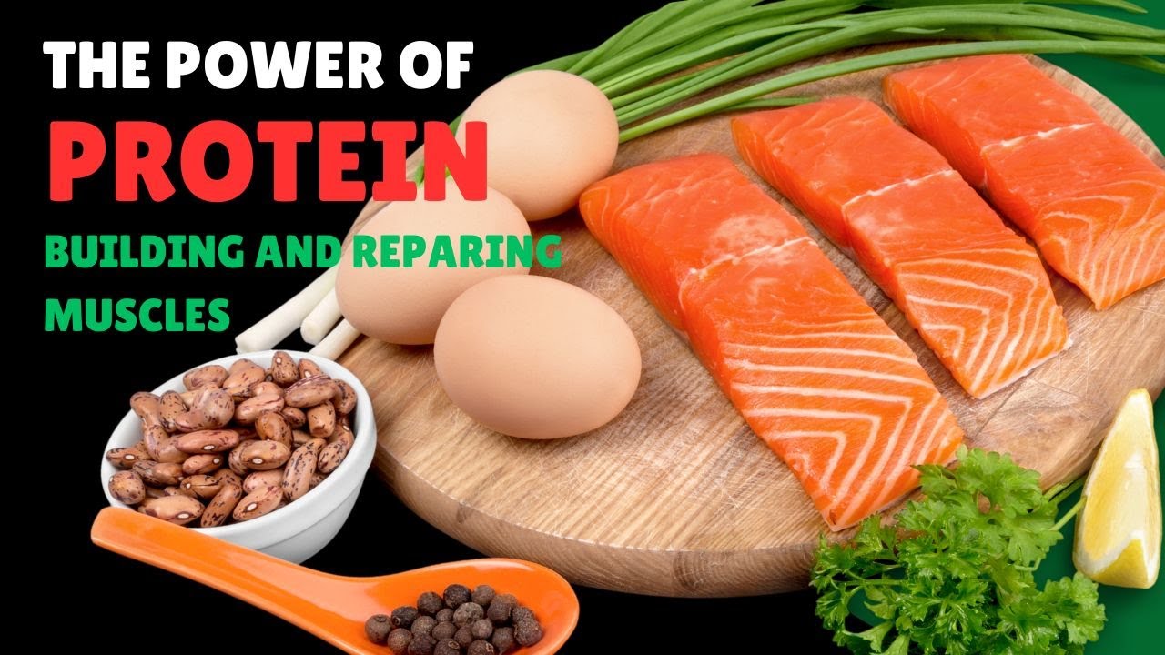 The power of PROTEIN, Building and Repairing Your Muscles - YouTube