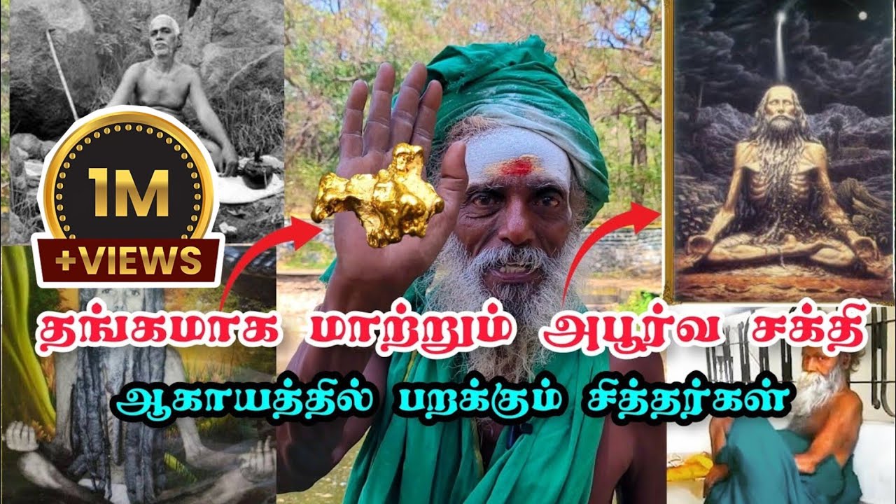 😱சித்தர்கள் நடத்திய அதிசயங்கள்🧎‍♂️🙏 திருவண்ணாமல🕉 #siddhar # ...