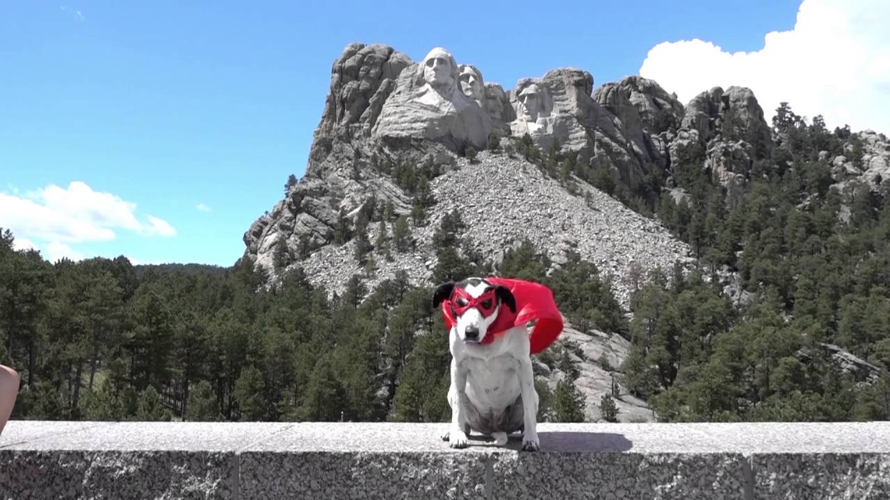 Rescue Dog at Mount Ruffmore - YouTube