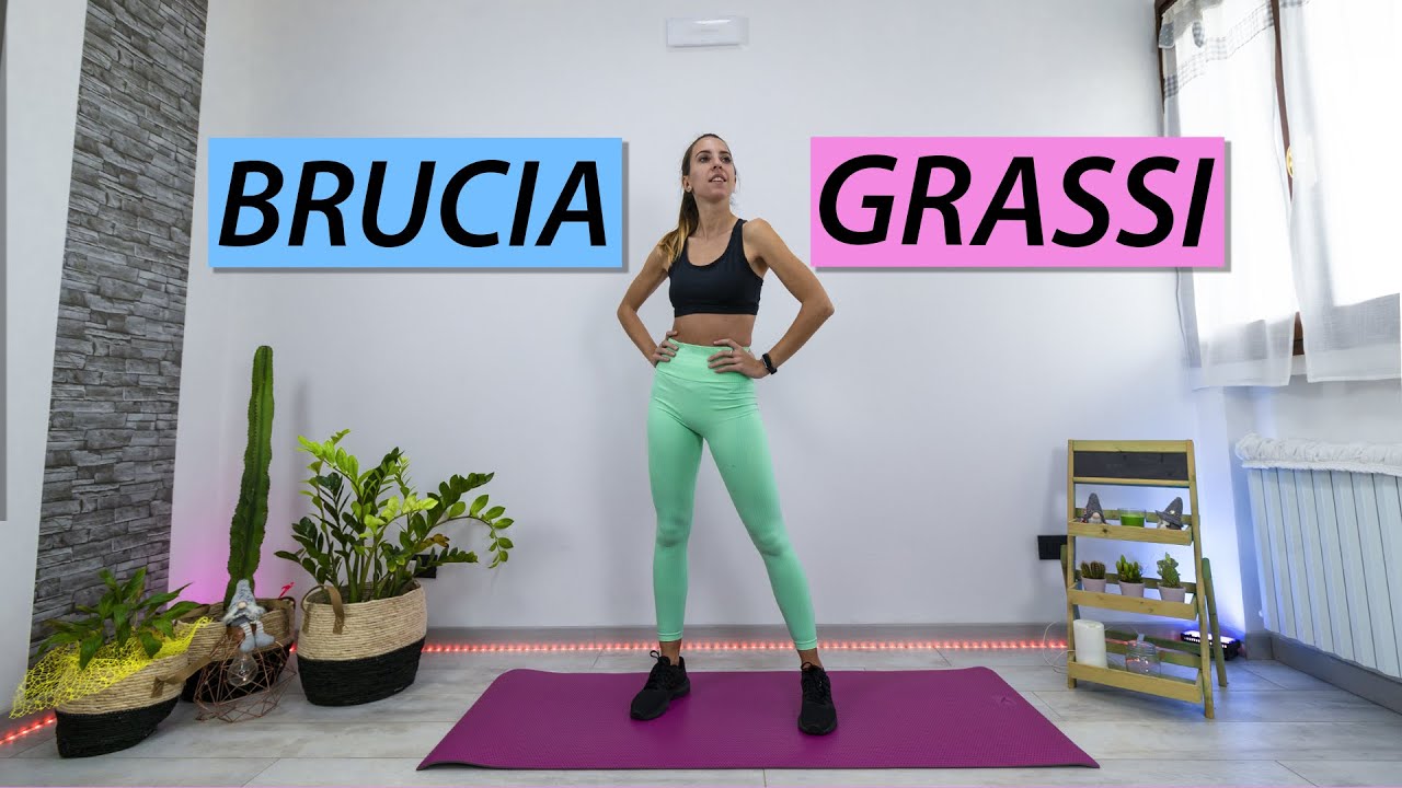 Esercizi per dimagrire BRUCIA GRASSI | FAT BURNING workout. No salti ...