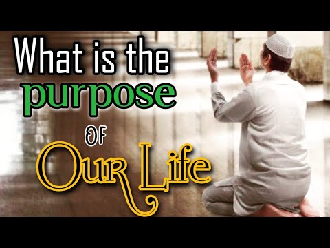 What is Purpose of Life | Allah is the Purpose of Life | Islamic vedio ...