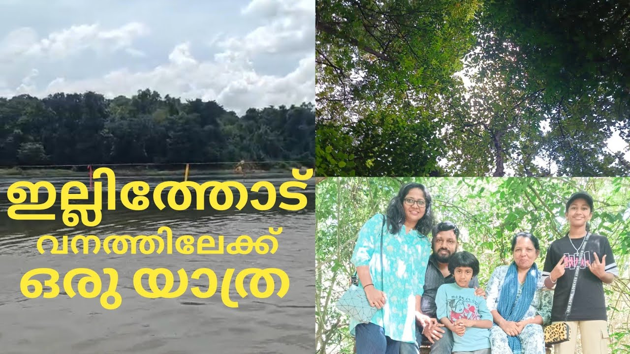 #ഇല്ലിതോട് എന്ന അതിമനോഹരമായ ഒരു വനം #illithode #forest #periyar # ...