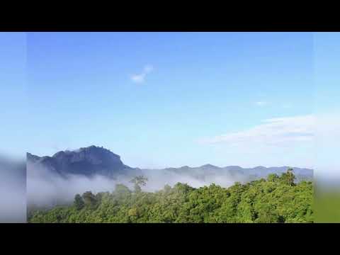 LISTEN⚠️Inzuza_Idlozi_Intwaso_umsamo_rituals_imimoya_Dangers - YouTube