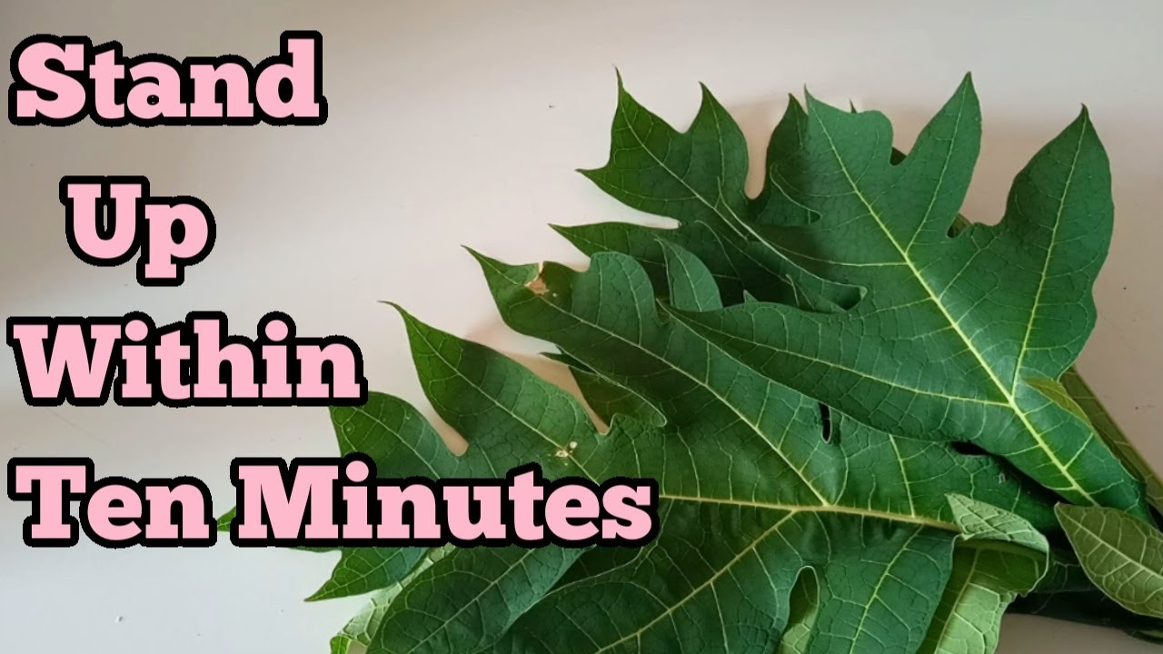 Grandma recipe for 65 - 101 eat before bedtime and thank later for papaya leaf magic recipe ...