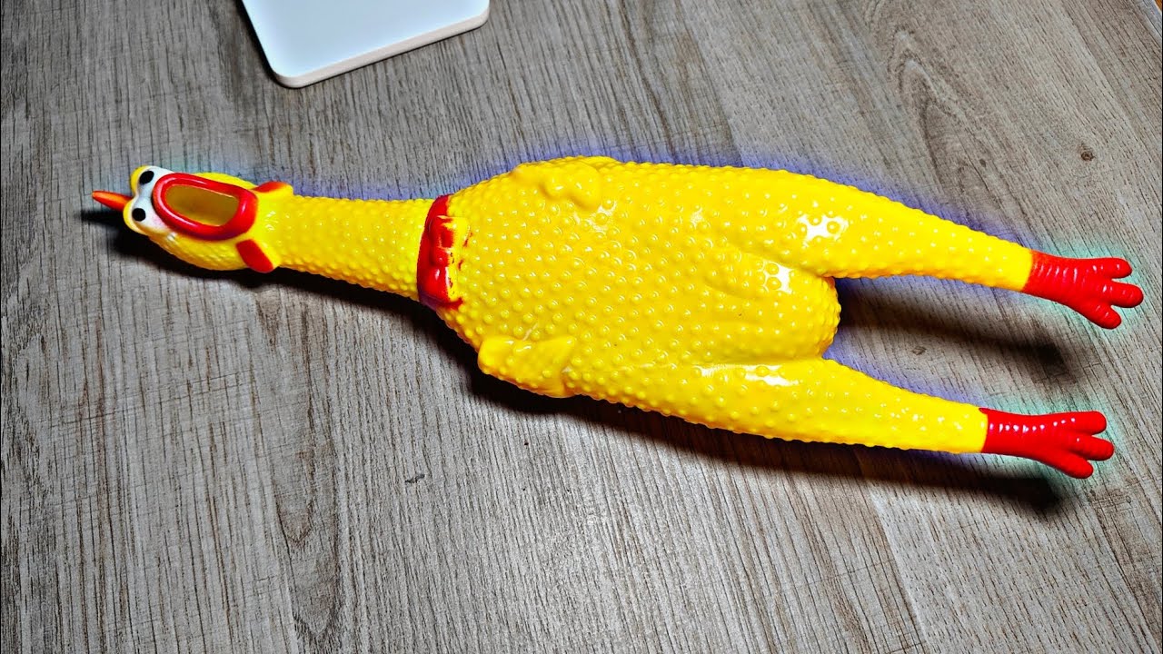 Screaming Chicken Toy (Review) - YouTube