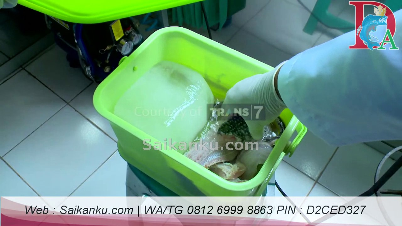 081269998863 | sari ikan kutuk cair Gorontalo - YouTube