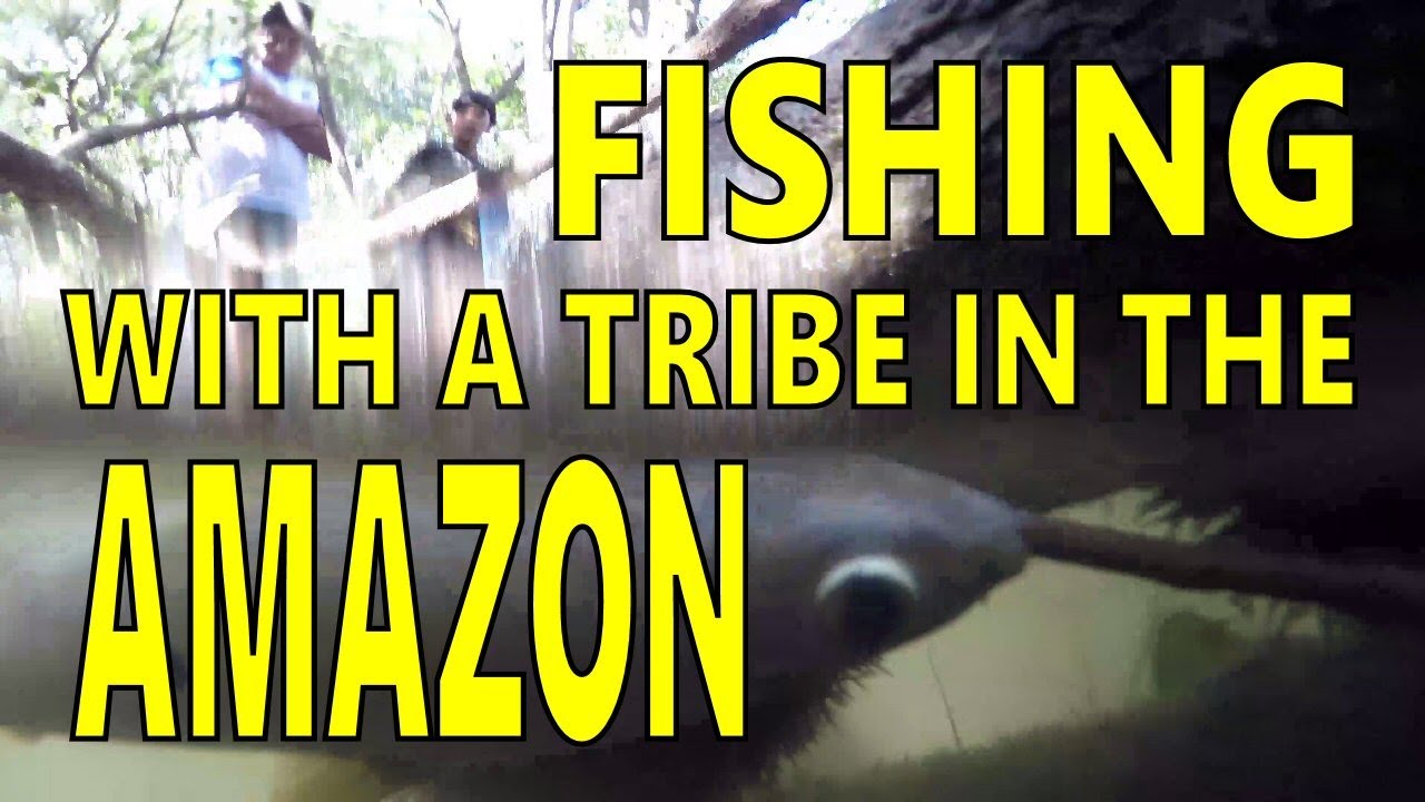 This is Brazil - Timbó Vine Fishing in Xingu - YouTube
