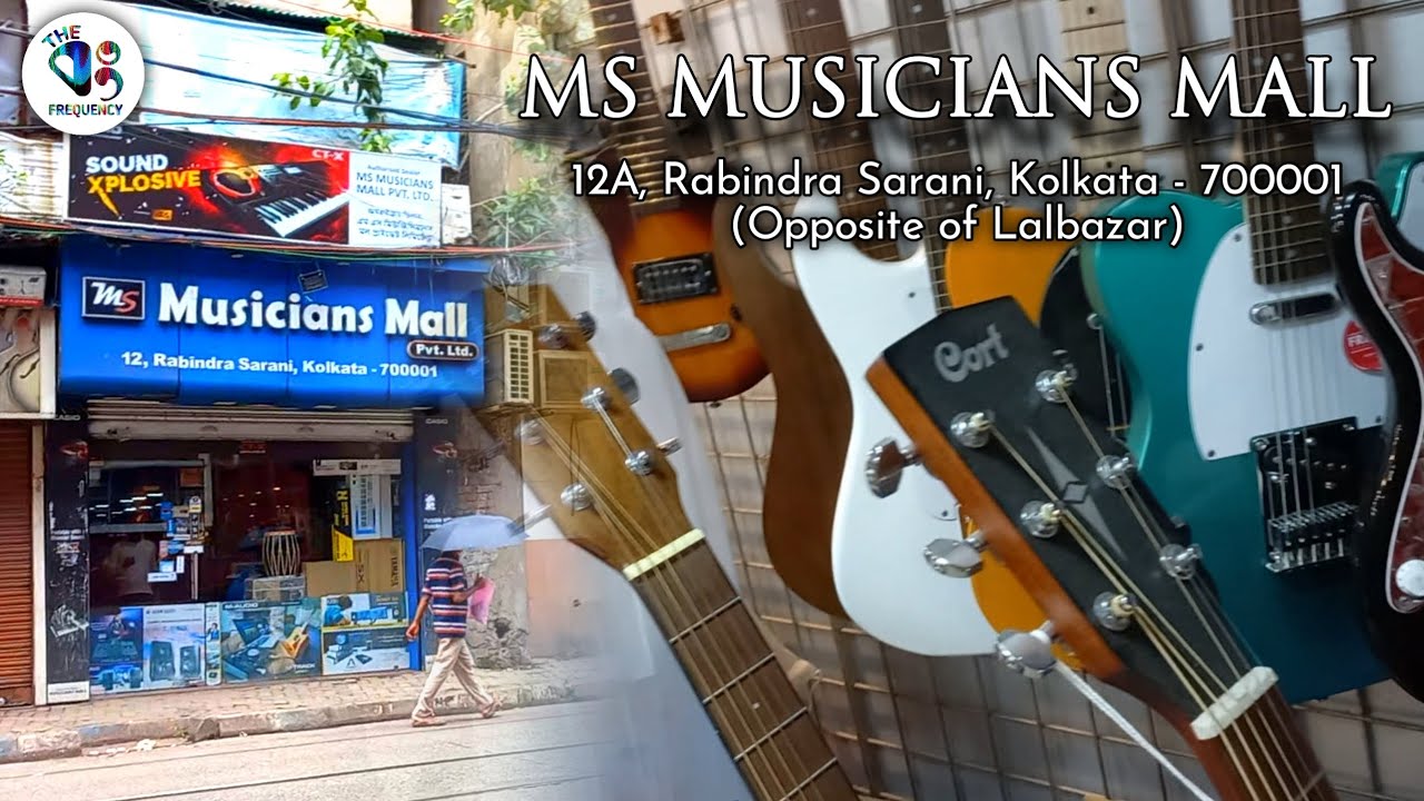 MS Musicians Mall | Biggest Collection of Musical Instruments In ...