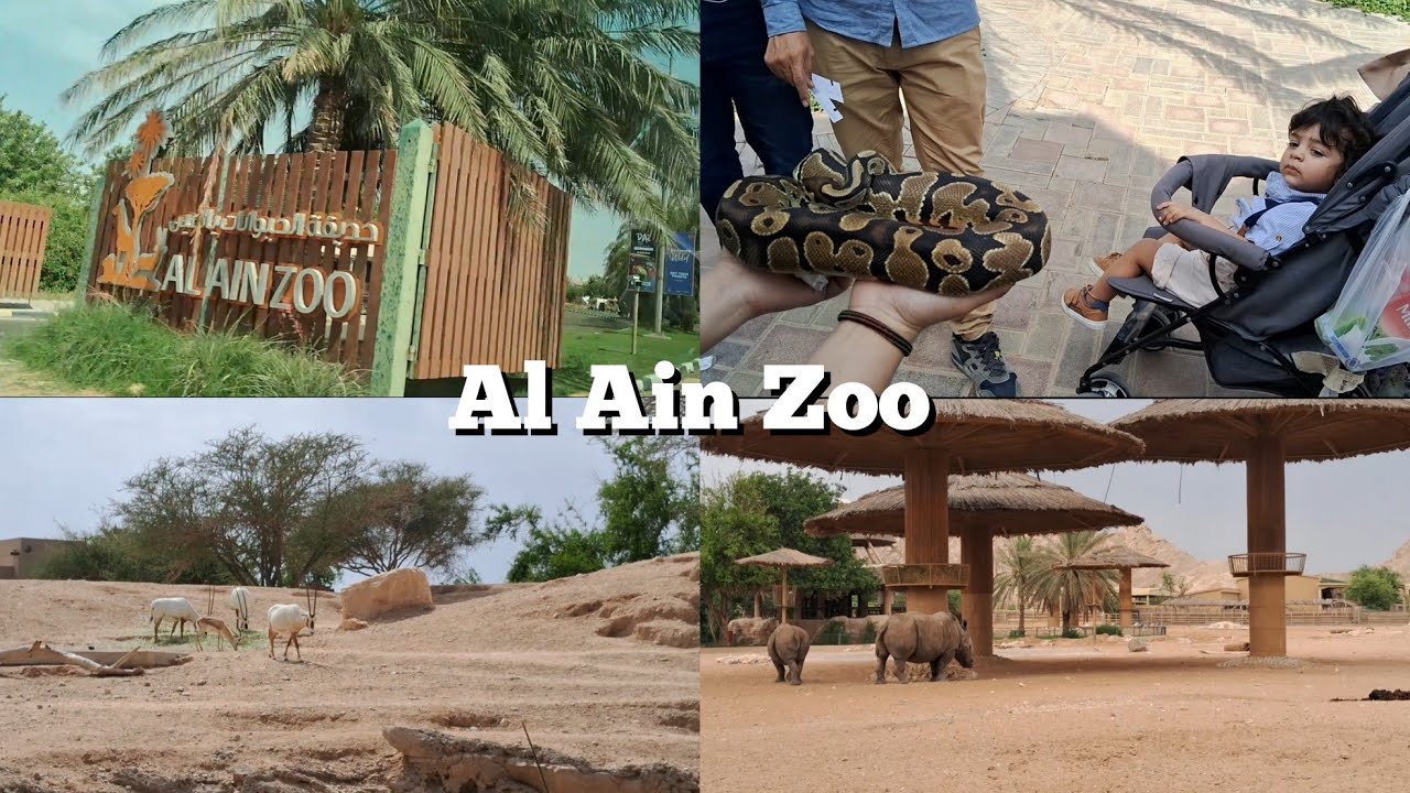 Al Ain Zoo - Abu Dhabi | Abu Dhabi UAE | Complete Tour Al Ain Zoo | Part - 1..!! - YouTube