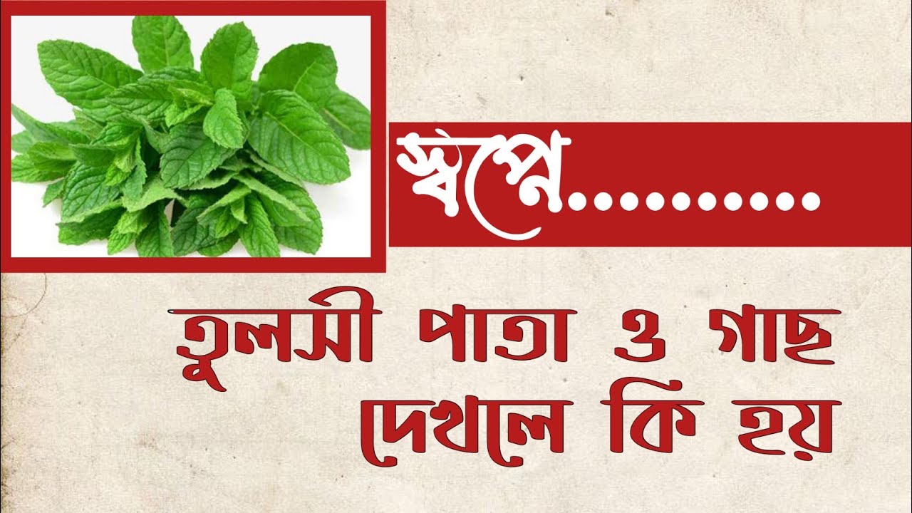 স্বপ্নে তুলসী গাছ বা পাতা দেখলে কি হয়|sapne tulsi pata dehkle ki hay ...