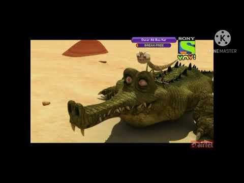 Oskar || Momma Croc (hindi) New England 2021