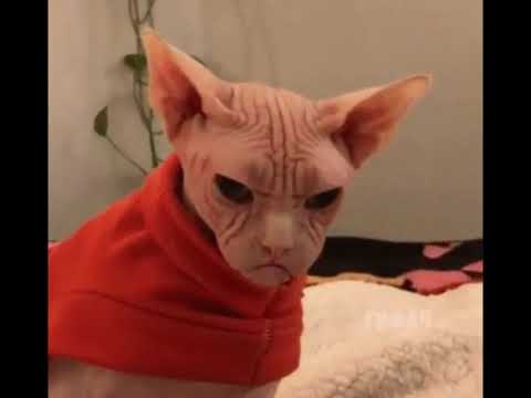 Sabah işe giderken ben