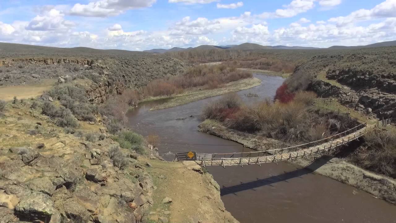 SheepBridge - YouTube