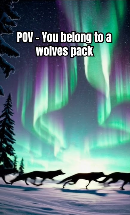 POV - You belong to a wolves pack | #wolf #wolves #edit #ai #wolverine ...
