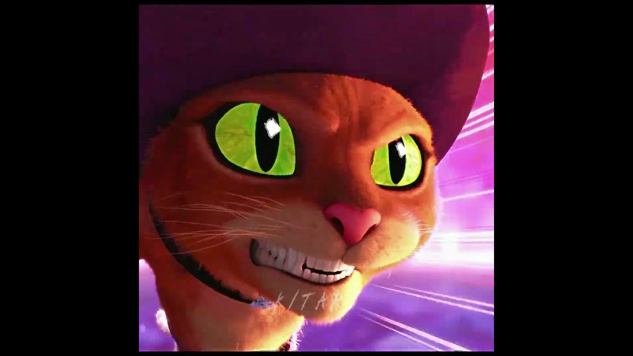 Pick It Up Bigbadwolf Pussinboots Shorts Youtube