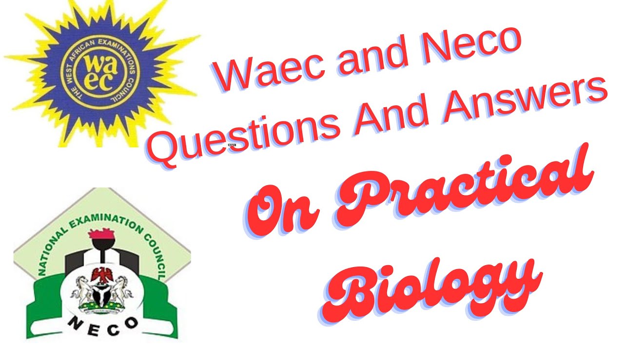 Waec and Neco questions and Answers for Practical Biology 2024. Pt2 ...