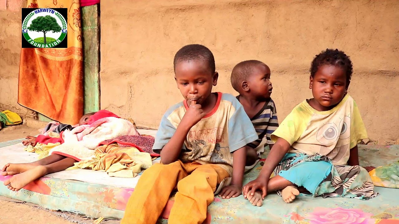 Munasar Media Center - YouTube