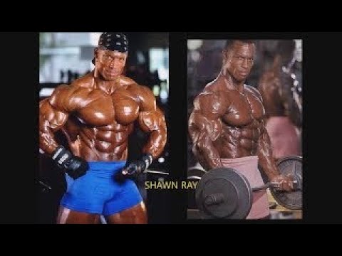 Shawn Ray -The Final Countdown || - YouTube