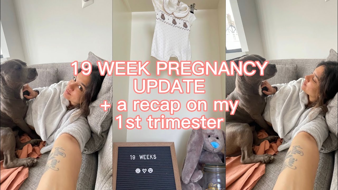 19 WEEK PREGNANCY UPDATE + 1st trimester recap & baby growth - YouTube