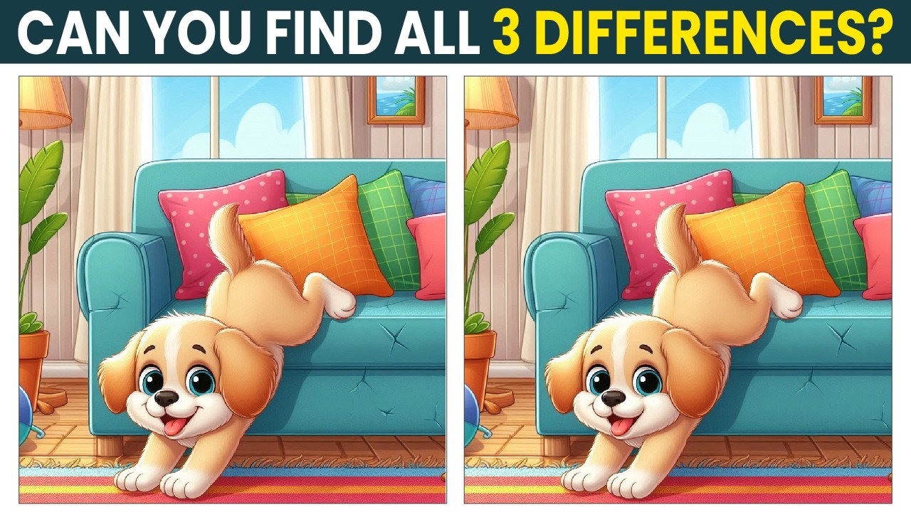 Spot the Difference: Only 1% Can Find All the Differences! - YouTube