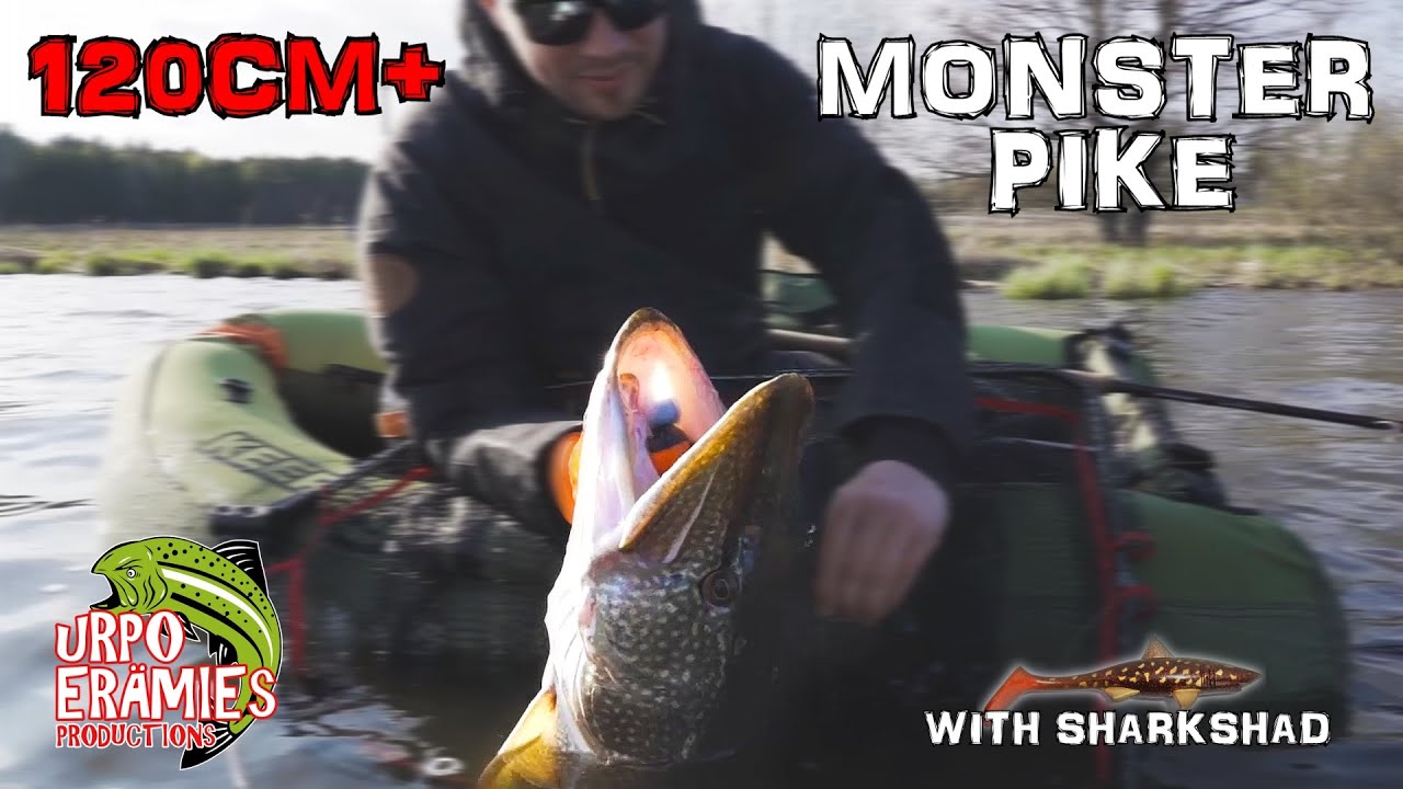 MOST INSANE PIKE STRIKE 😱 120CM++ - YouTube