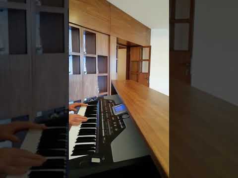 Korg pa800 ex pro \