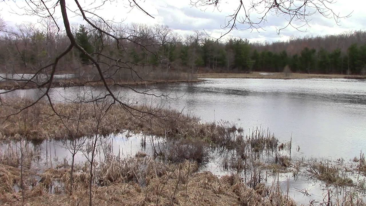 Floating Islands and Nesting Geese - YouTube