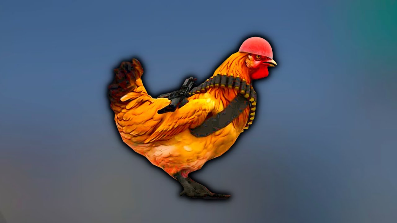 Counter Strike 2 has Pet Skins - YouTube