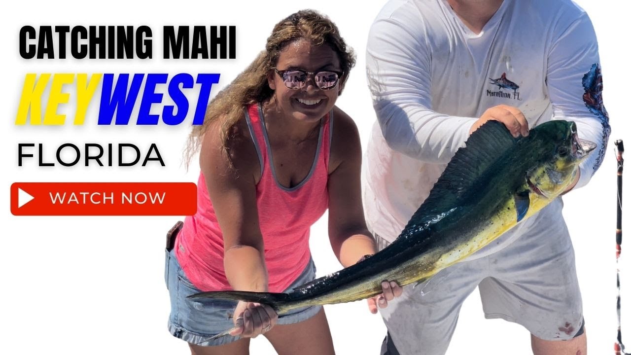 7 Things to do in Key West Florida (How to Catch Mahi-mahi) - YouTube