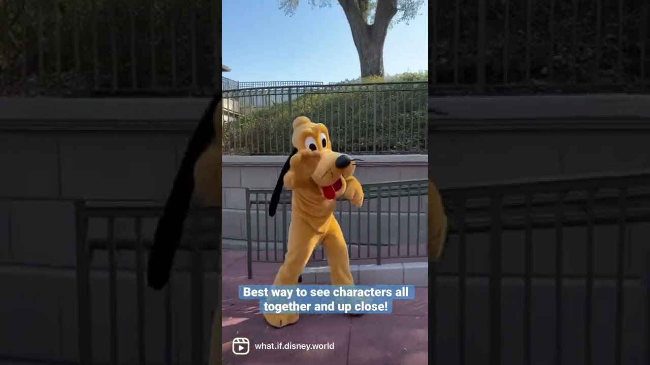 Disney Characters All Together