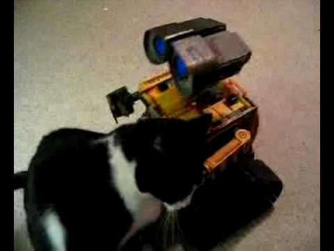 Wall-E Robot meets our cat - YouTube