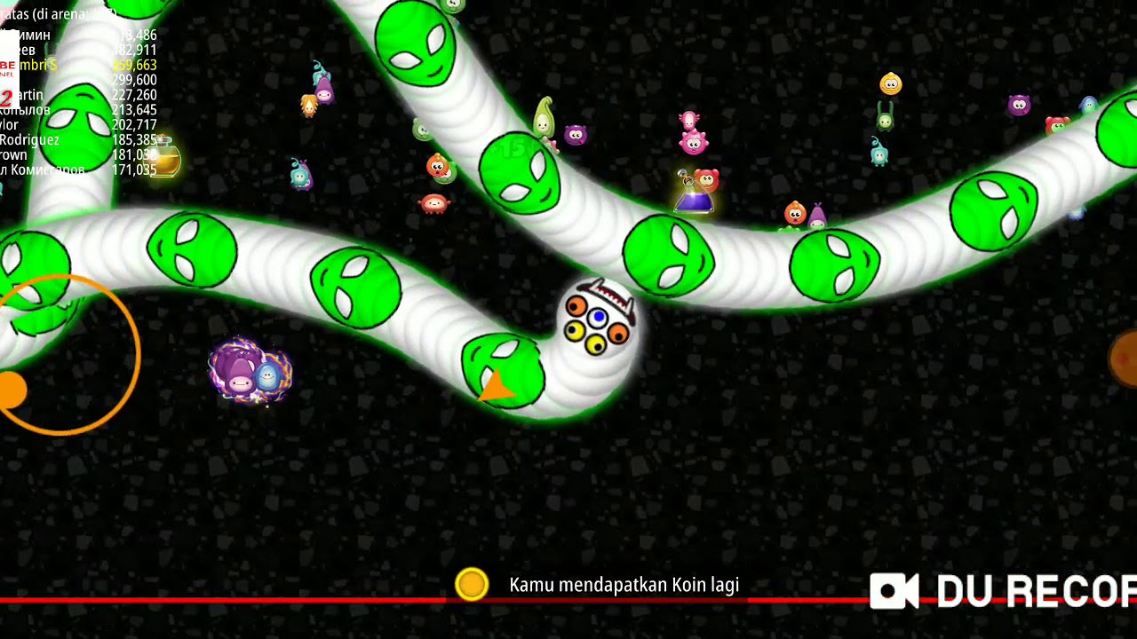Cacing besar alaska - YouTube