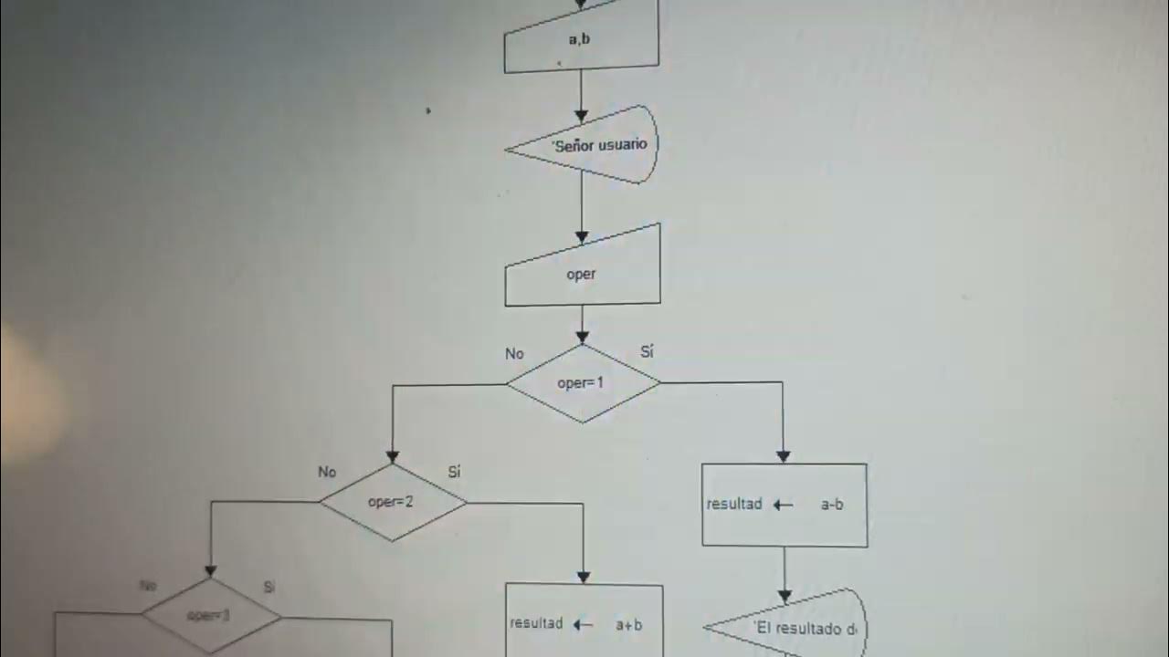 Videos Programacion Basica Diagrama de Flujo-Julian Barrera - YouTube