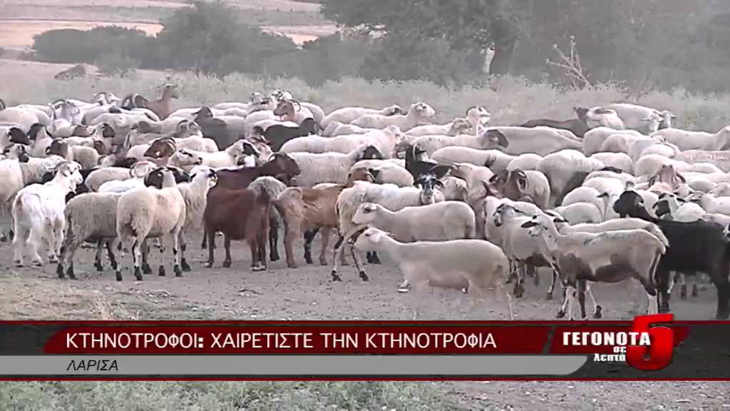 ΚΤΗΝΟΤΡΟΦΟΙ: ΧΑΙΡΕΤΙΣΤΕ ΤΗΝ ΚΤΗΝΟΤΡΟΦΙΑ - YouTube
